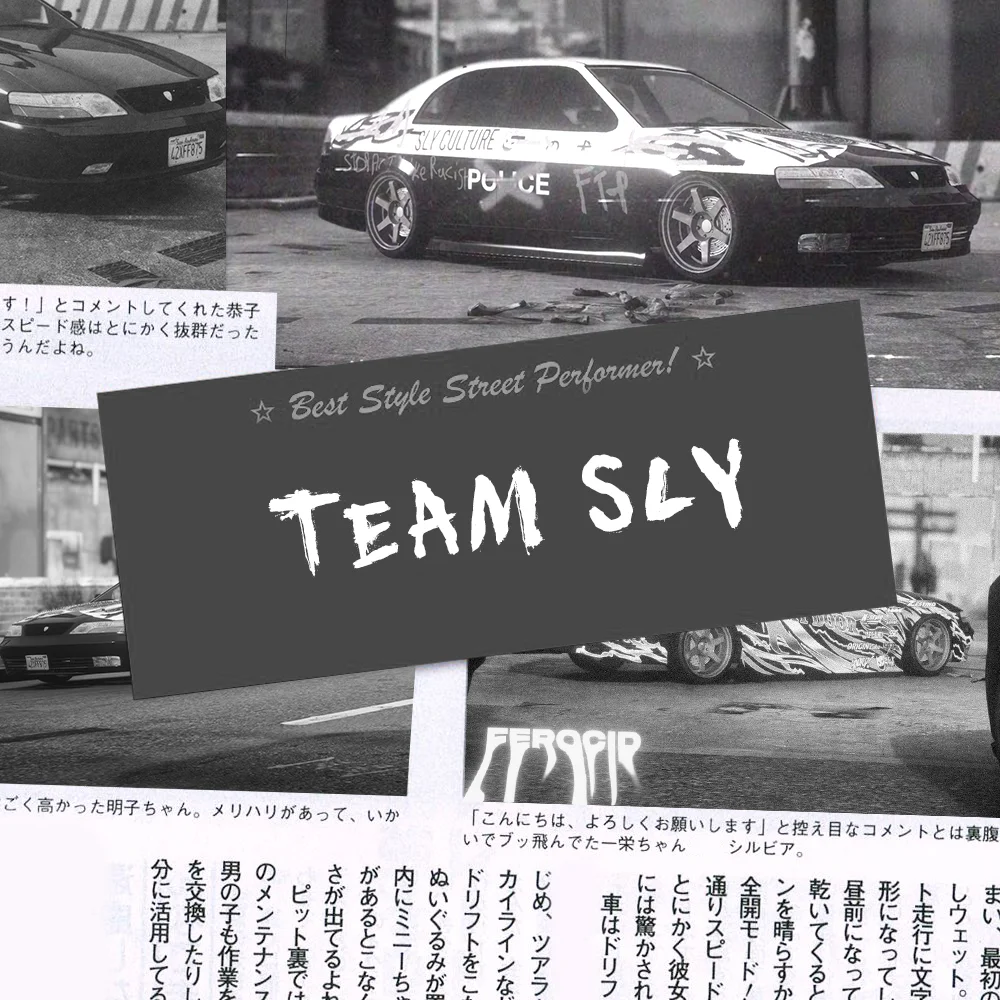 TEAM SLY